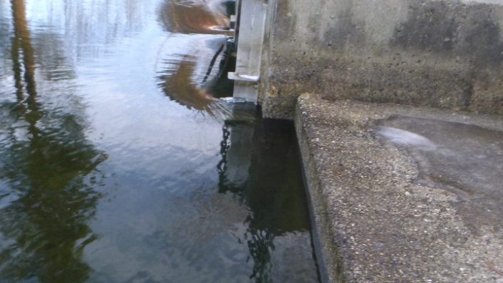 Webber Pond president updates on lake conditions - The Town Line Newspaper Webber Pond president updates on lake conditions - The Town Line Newspaper
