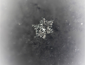 PHOTO: Mother Nature masterpiece - The Town Line Newspaper