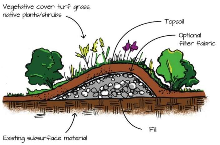 LAKE LIFE TODAY: part 6: While planning for the Future - The Town Line ...