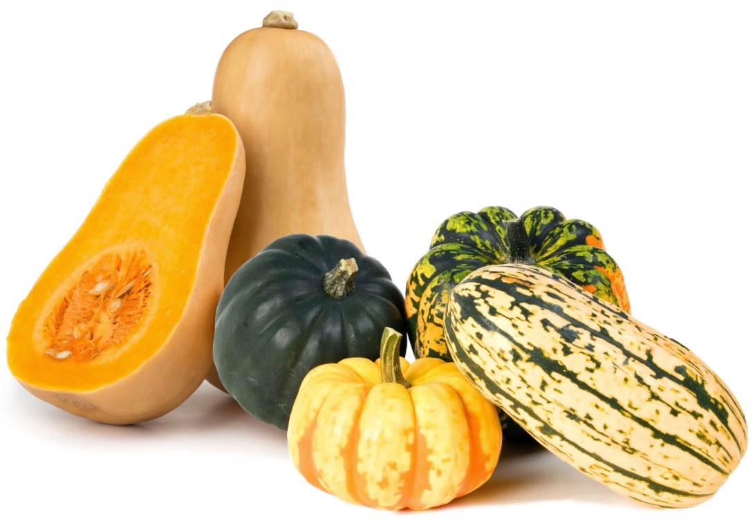 MAINE-LY GARDENING: What’s in the garden? Winter squash - The Town Line Newspaper