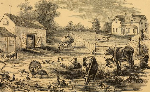 Up and Down the Kennebec Valley: Agriculture – Intro to a new subtopic ...