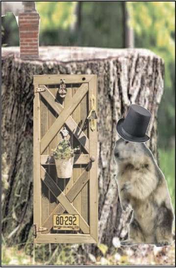 SCORES & OUTDOORS: Woody calls for a mix of weather until spring - The ...